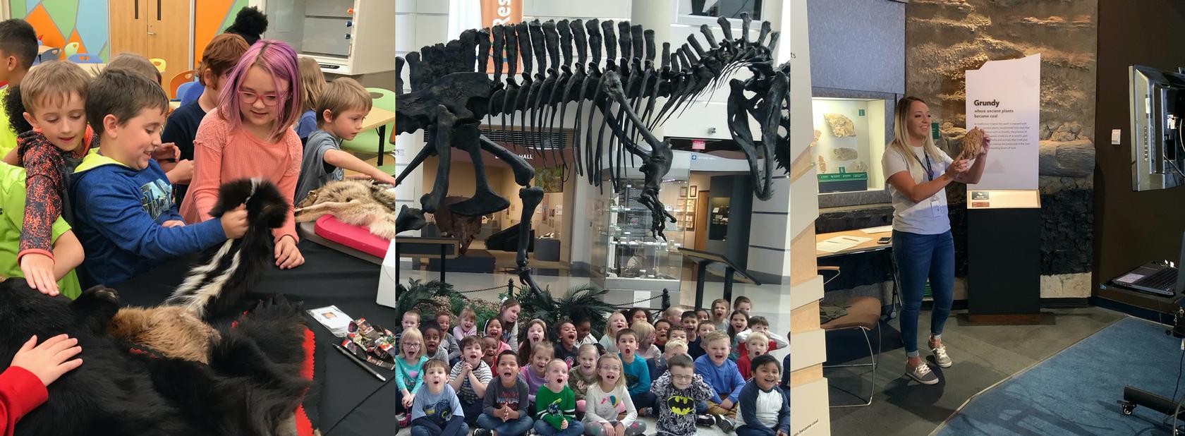 VMNH Discovery Kits - Virginia Museum of Natural History