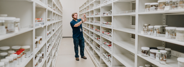 Internships - Virginia Museum of Natural History