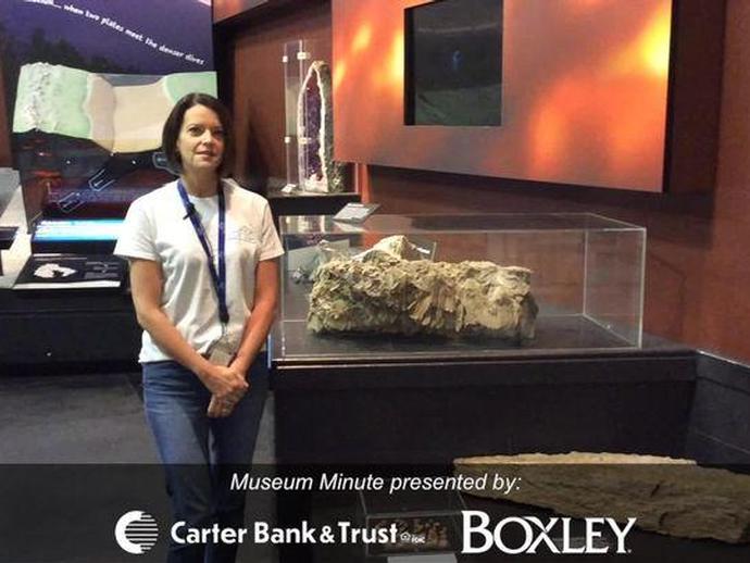 VMNH Education Manager Christy Deatherage is ...